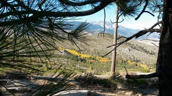 Washoe Valley, Nevada - Hoof Armor®