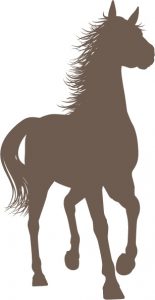 hoof armor_about horse - Hoof Armor®